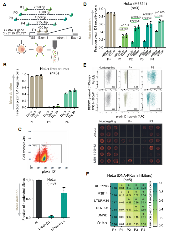 Library Construction and Screening Services | VectorBuilder